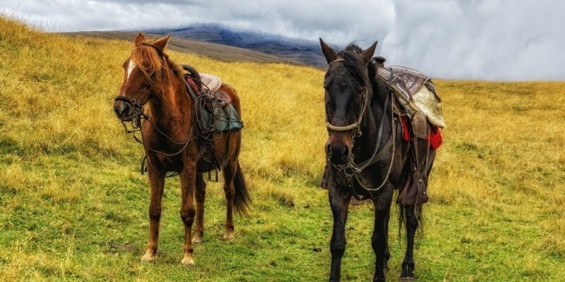 Horseback Riding Tour To Upis Lake and 7 lakes of Ausangate