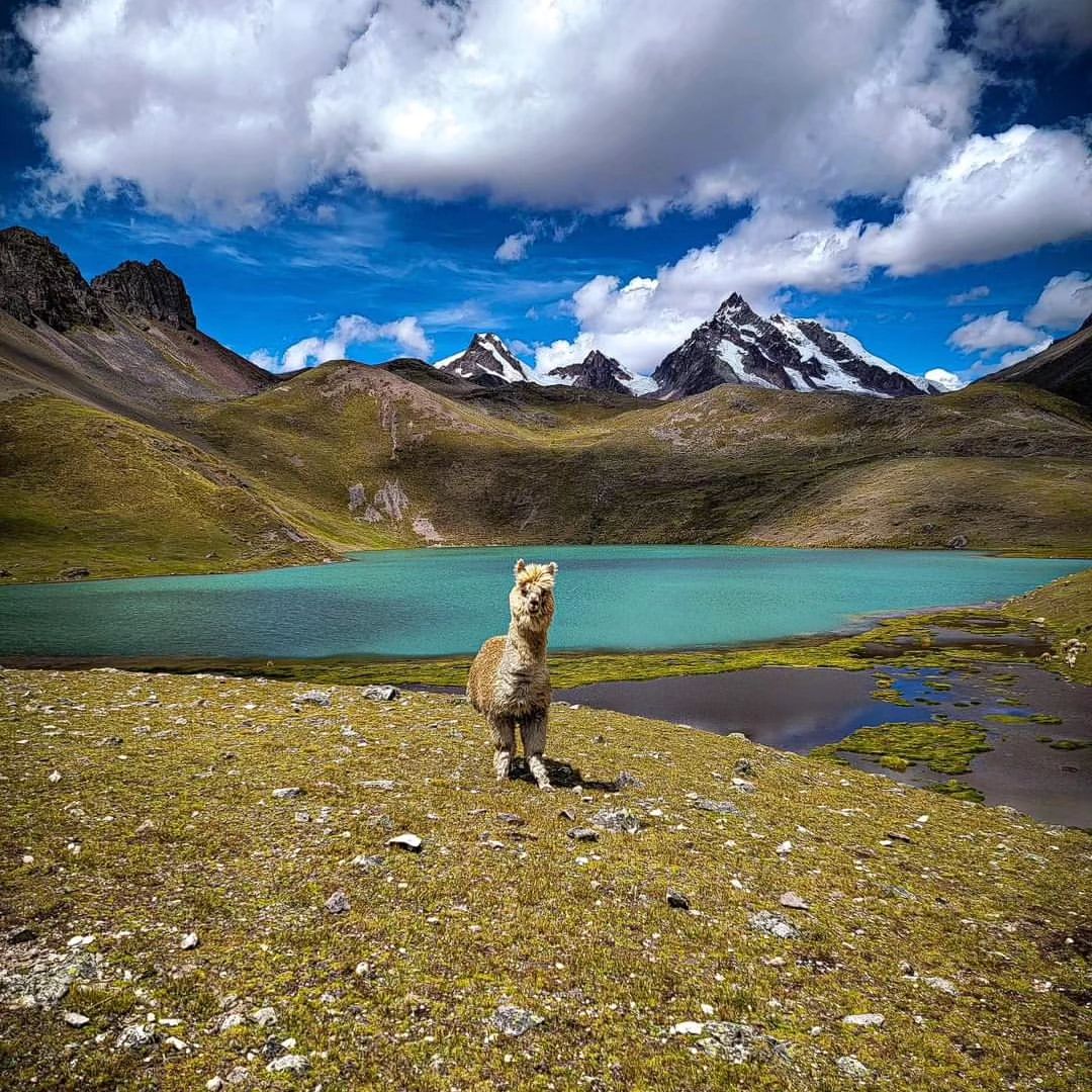 Discovering the Ausangate 7 lakes peru