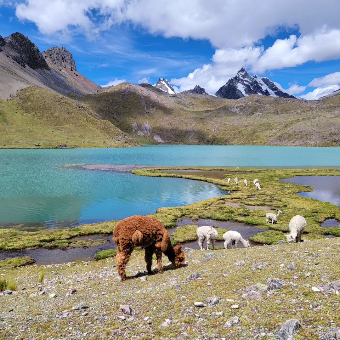Discovering the Ausangate 7 lakes peru