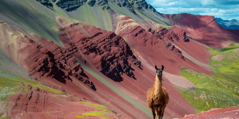 Rainbow Mountain & Red Valley 1-Day Hike | Affordable & Unforgettable!